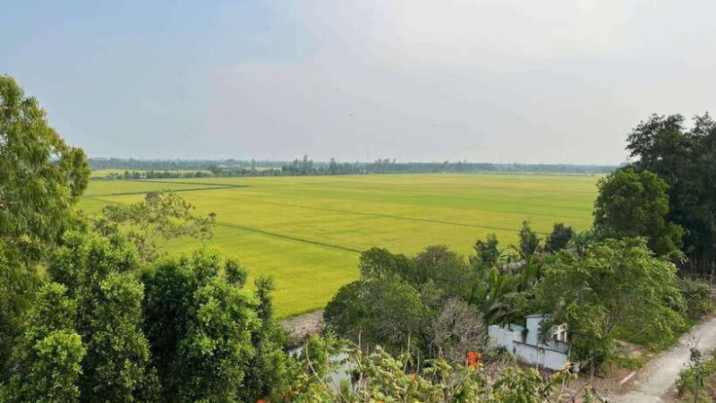 Day Trip: Floating Market & Mua Xuan Forest Half-Day Tour - The Sum Up