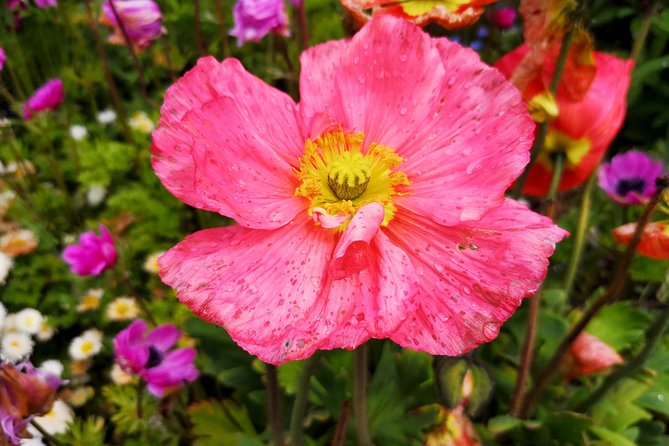 Day Trip Flower Island of Mainau including Meersburg - The Practicalities: Transportation, Time, and Value