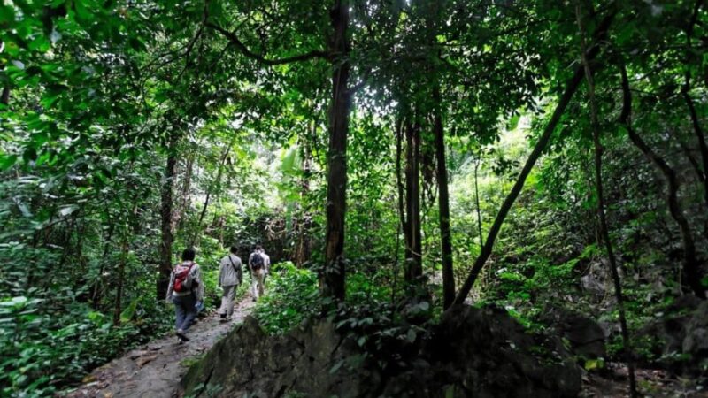 Day Trip for a Group to Cuc Phuong National Park - In-Depth Look at the Cuc Phuong National Park Day Trip