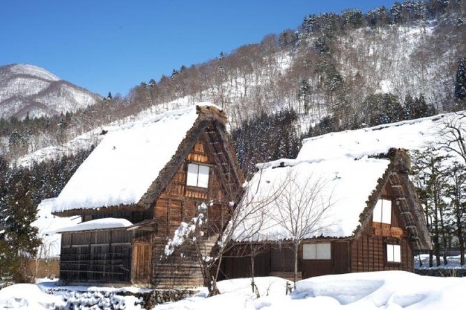 Day Trip for Shirakawago ,Takayama & Gujo Hachiman From Nagoya - Feedback and Reviews