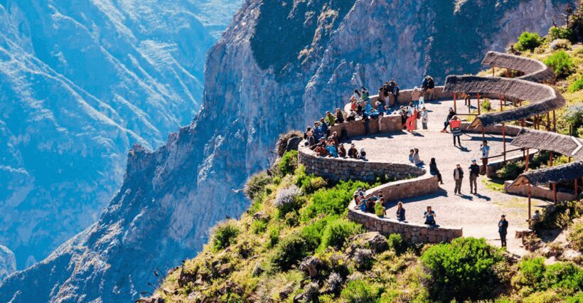 Day Trip from Arequipa: Explore the Majestic Colca Canyon - Authenticity and Real Traveler Feedback