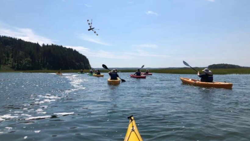 Day Trip from Boston: Guided Kayak at the Crane Estate - An Entry Point into Coastal Massachusetts