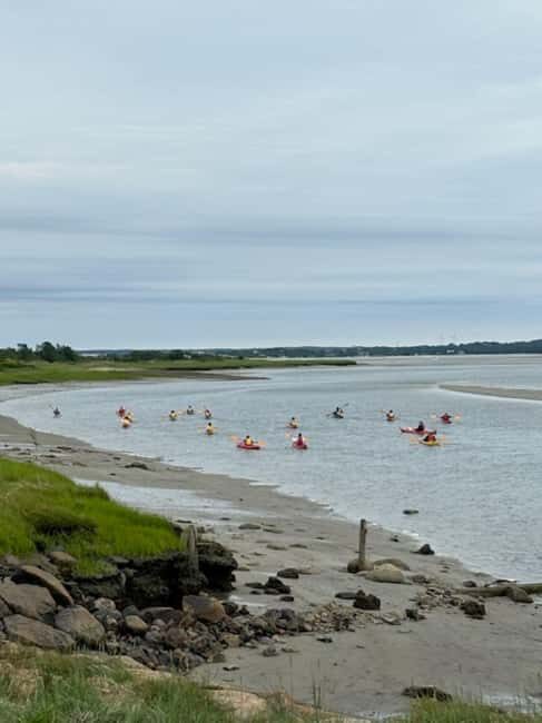 Day Trip from Boston: Guided Kayak at the Crane Estate - Enjoying the Salt Marshes and Estuaries