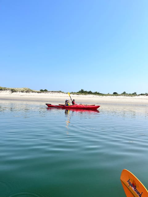 Day Trip from Boston: Guided Kayak at the Crane Estate - The Trip Itinerary: What Makes Each Part Special