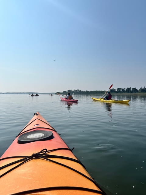 Day Trip from Boston: Guided Kayak at the Crane Estate - Analyzing the Value