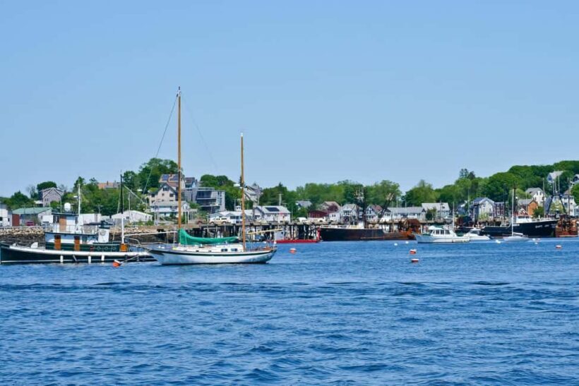 Day Trip From Boston: Kayak Tour through Gloucester Harbor - A Practical Introduction to the Gloucester Harbor Kayak Experience