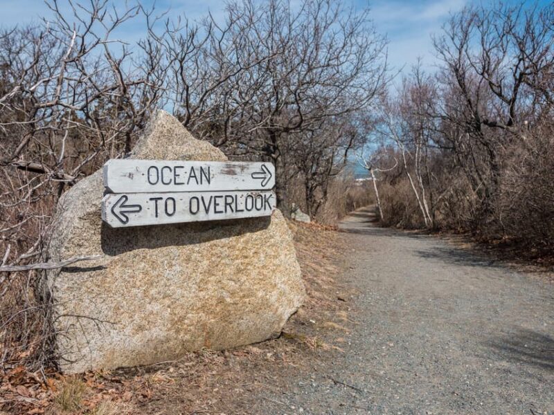 Day Trip From Boston: New Bedford Food & Whaling Museum Tour - Exploring the New Bedford Whaling Museum