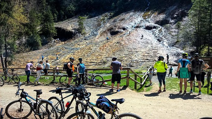 Day trip from Brasov: Bison reserve & traditional lunch - Practical Details and Value