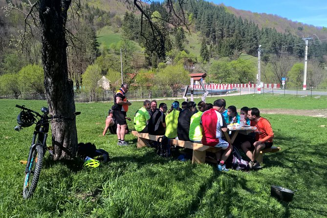 Day trip from Brasov: Bison reserve & traditional lunch - What You’ll Experience in Detail