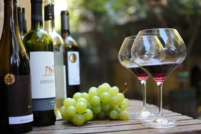 Day trip from Bratislava: Winery Tour with Wine Tasting in the Countryside - Practical Details and Considerations