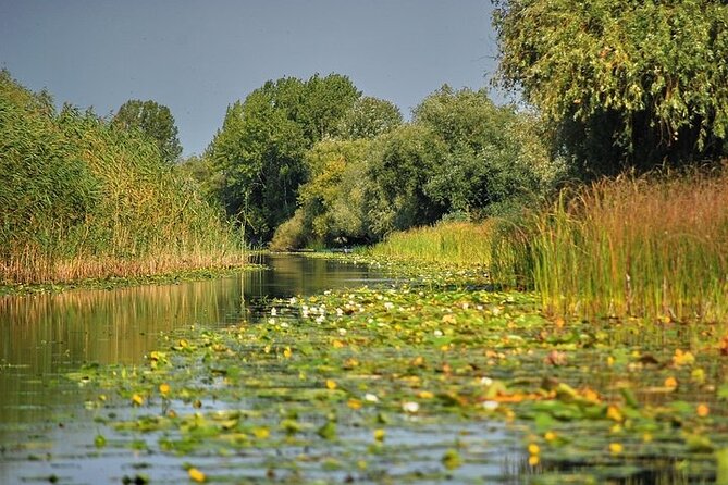 Day Trip from Bucharest to Danube Delta - The Details: What to Expect