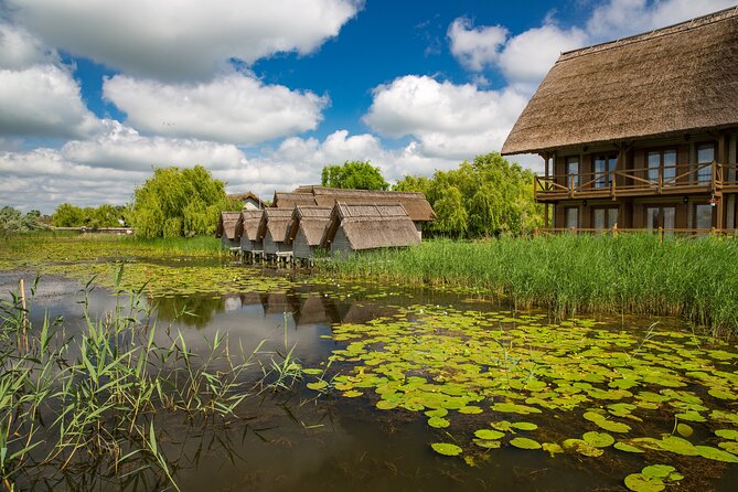 Day Trip from Bucharest to Danube Delta - Authentic Experiences and Traveler Insights