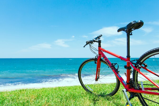 Day Trip From Central Fukuoka.Rental Cycle in Shikanoshima Island - Top Attractions and Sights