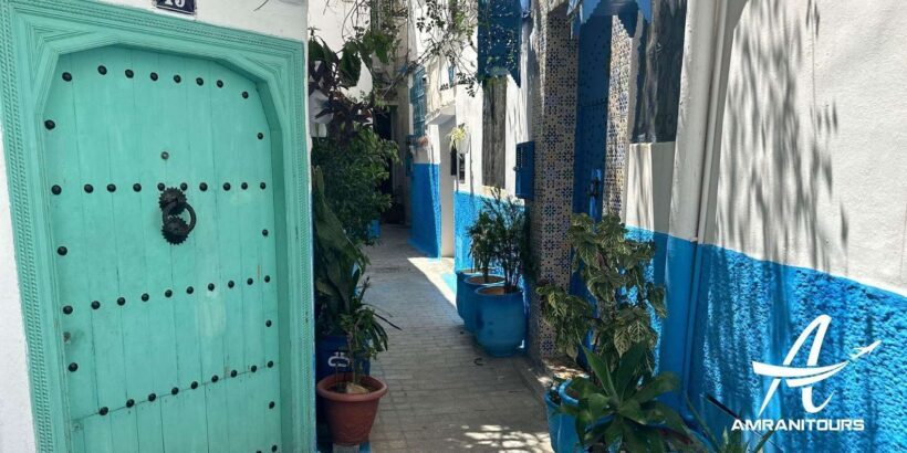 Day trip from Gibraltar to Morocco All Inclusive - Savoring Moroccan Flavors
