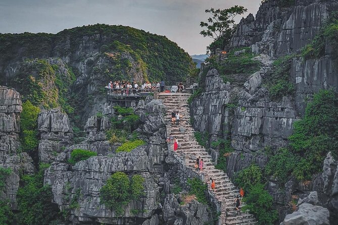 Day Trip from Hanoi to Ninh Binh Hoa Lu, Trang An, and Mua Cave - Who Should Consider This Tour?