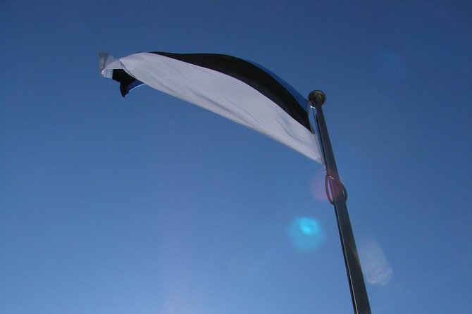 Day Trip From Helsinki to Tallinn. Ferry Included - Pricing and Booking Information