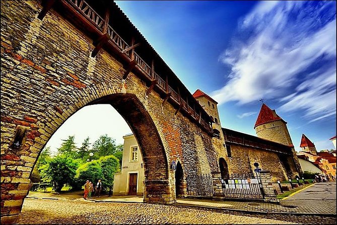 Day Trip From Helsinki to Tallinn. Ferry Included - Exploring Tallinn Independently