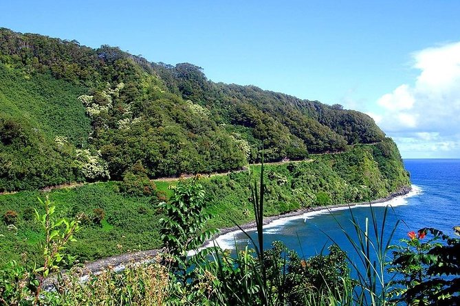 Day Trip From Maui to Oahu: Road to Hana Adventure - Inclusions and Amenities of the Tour