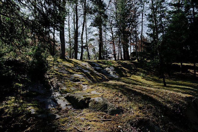 Day trip from Milan: cave paintings in the enchanting Val Camonica - Key Points