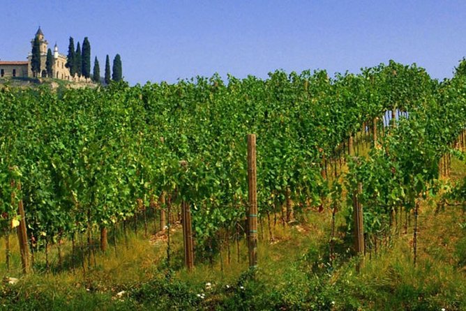 Day trip from Milan: Franciacorta, a paradise for wine lovers! - private tour - FAQs