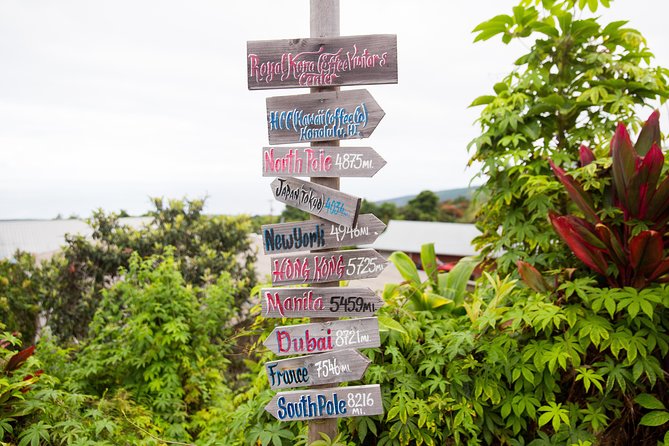 Day Trip from Oahu to Hilo: Volcano Adventure - Final Thoughts