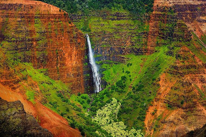 Day Trip from Oahu to Kauai: Waimea Canyon & Wailua River - Who This Tour Is Best For