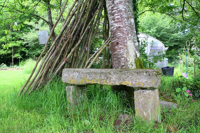 Day Trip from Paris - French Food, Rural Experiences & Horses! - The Sum Up