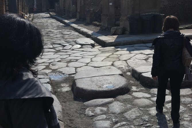 Day trip from Rome to Pompei Mt Vesuvius & Local Guide included - Key Points