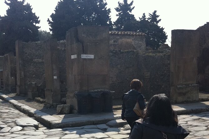Day trip from Rome to Pompei Mt Vesuvius & Local Guide included - Why This Tour Delivers Value