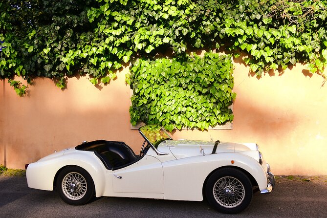 Day-Trip From Rome to Roman Hills With Lunch / Picnic Included - Traveler Experiences and Recommendations