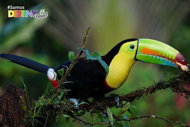 Day Trip From San Jose to Sloths & Other Wildlife Rescue Center - Positive Feedback From Satisfied Visitors