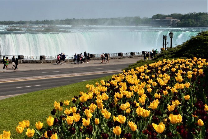 Day-Trip from Toronto to Niagara Falls with skip-the-line boat - The Journey Begins: From Toronto to Niagara Falls