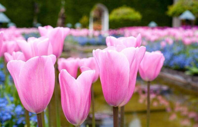 Day Trip from Vancouver to Victoria and Butchart Gardens - The Itinerary: A Closer Look at the Day
