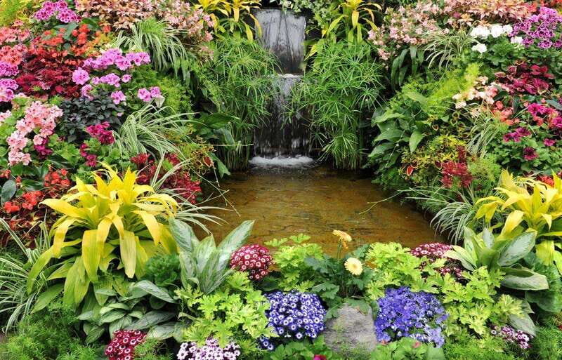 Day Trip from Vancouver to Victoria and Butchart Gardens - Pricing and Value: Is It Worth $244?