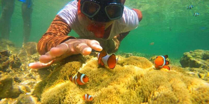 Day Trip Gili Nanggu,Kedis&Sudak With Pick Up - Key Points