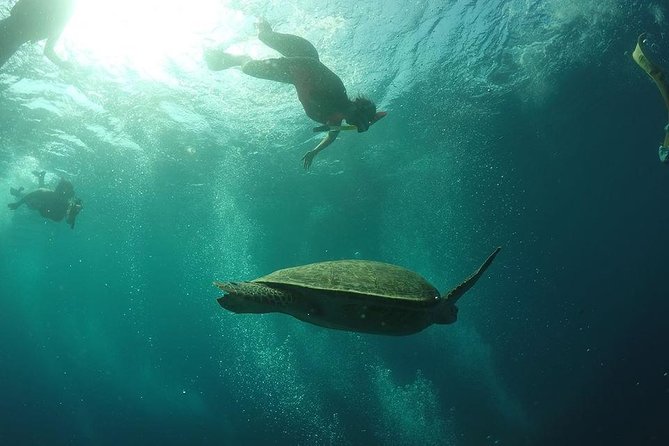 Day Trip Gili Trawangan, Gili Meno, Gili Air (Depart Lombok) - Authentic Experiences and What Travelers Say