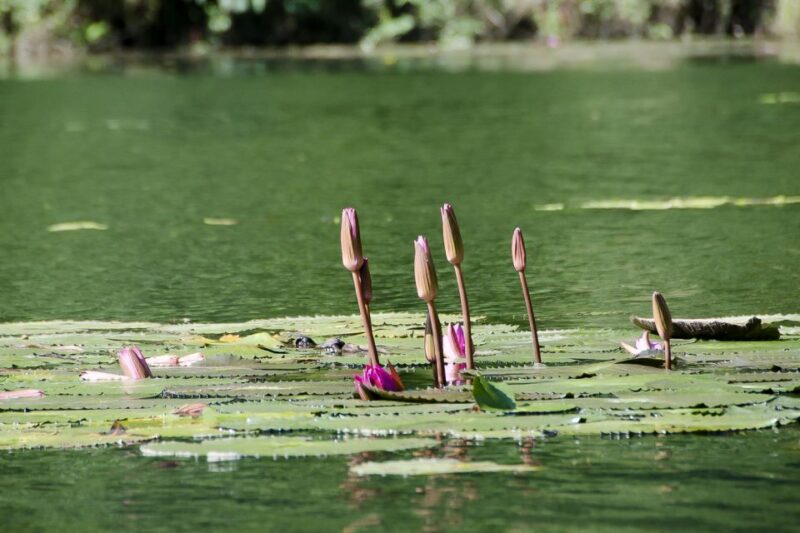 Day Trip: Hoa Lu, Trang An, Mua Cave with Transfer and Lunch - How Does the Tour Stack Up?