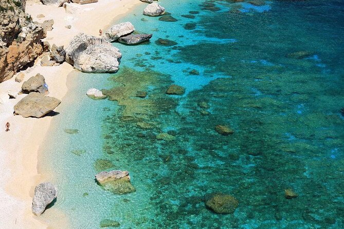 Day Trip in the Gulf of Orosei Cala Mariolu - Accessibility and Participation