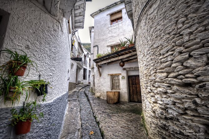 Day trip in Trevélez and a visit to ham drying factory - What Makes This Tour Stand Out?