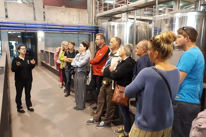 Day Trip Lisbon Wine Tasting - Private Tour - Booking Information and Policies