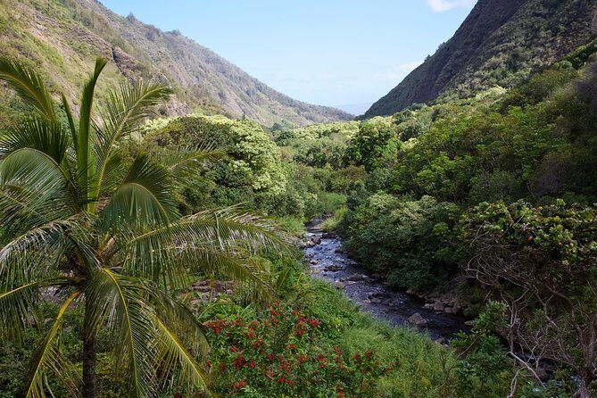 Day Trip Oahu to Maui: Sips, Sites and Bites - The Value of the Tour