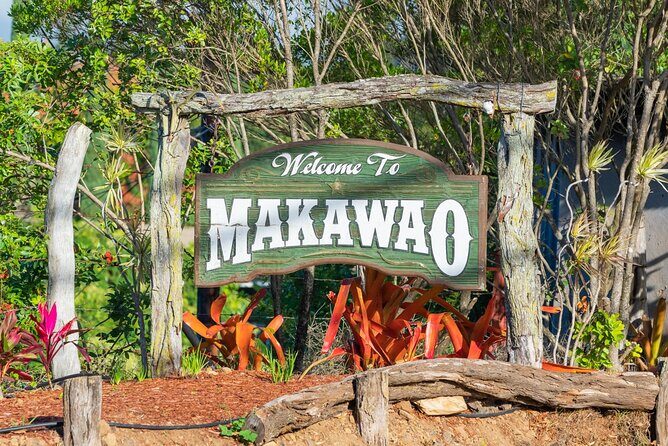 Day Trip Oahu to Maui: Sips, Sites and Bites - Final Thoughts