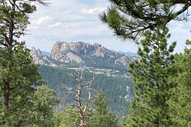 Day trip of the Black Hills: Mount Rushmore to Custer State Park! - The Sum Up