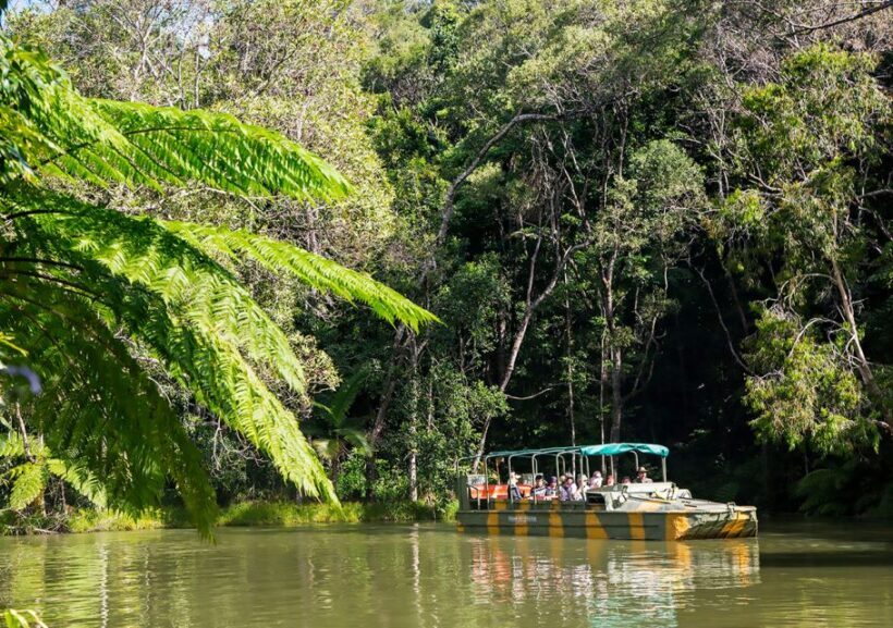 Day Trip: Rainforest & Aboriginal Culture Tour - Final Thoughts: Who Should Consider This Tour?