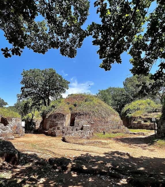 Day trip Rome: Tarquinia and Cerveteri, Etruscan tour - The Experience: Exploring the Etruscans Near Rome