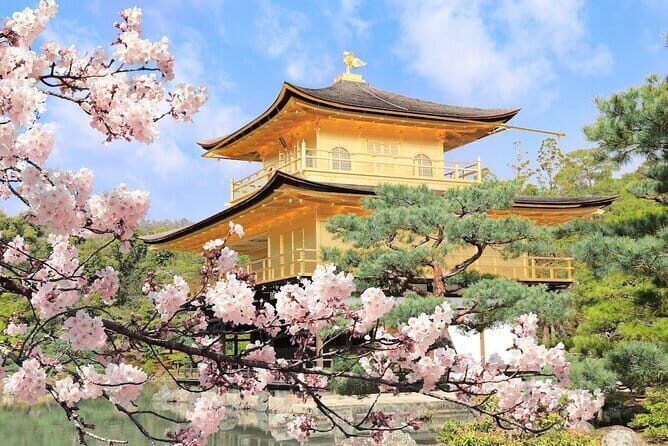 Day Trip Sacred Sites at Koyasan from Osaka - FAQ