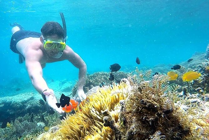 Day Trip Secret Island West Of Lombok - Key Points