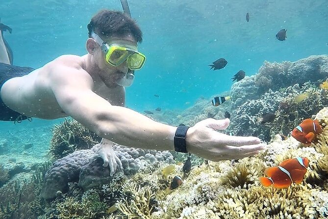 Day Trip Secret Island West Of Lombok - Logistics and Practical Tips