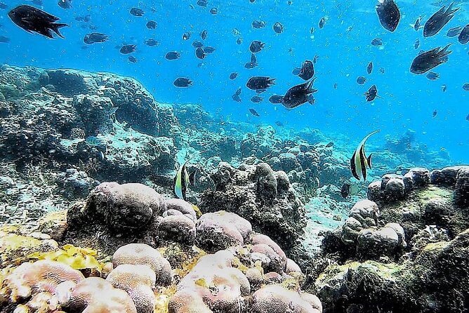 Day Trip Secret Island West Of Lombok - Final Thoughts: Is This Tour Right for You?