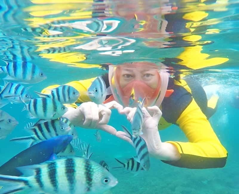 Day trip snorkeling Koh Tao & Koh Nang Yuan - The Experience Provider